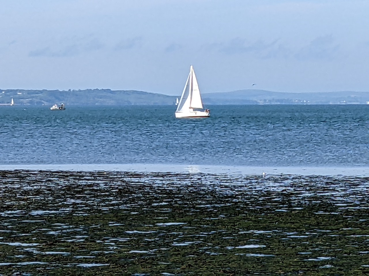 Pharma Drugs in Rivers - Could Homeopathy Help? : Allan Pollock