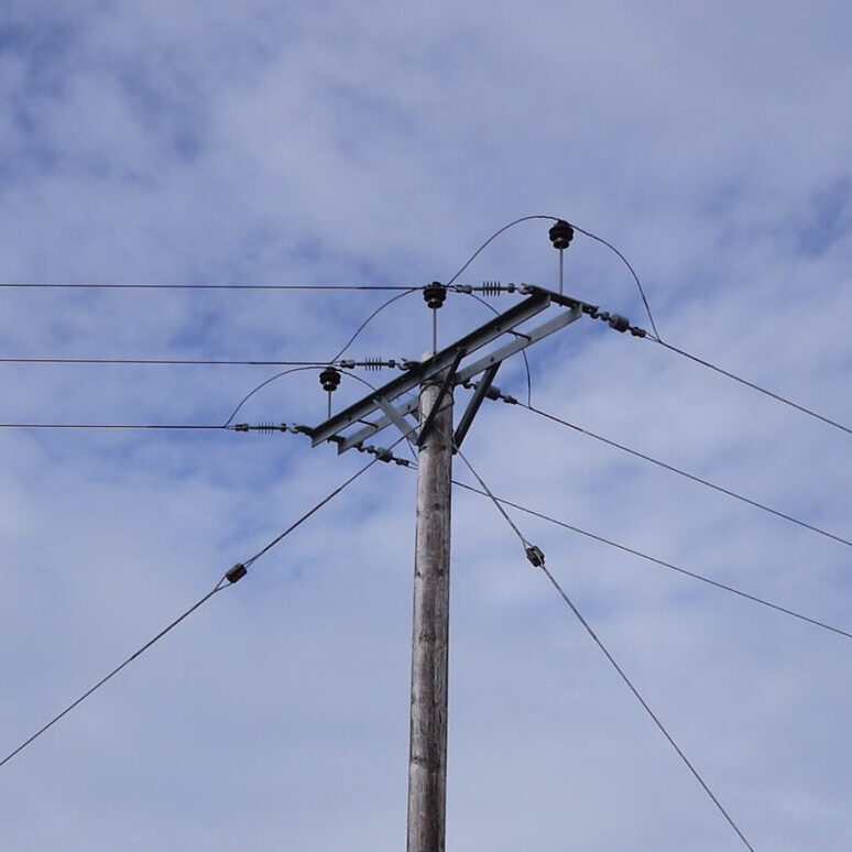 Homeopathy and Vaccines : Allan Pollock