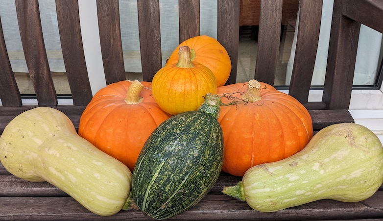 Homeopathy and Mental Health : Allan Pollock